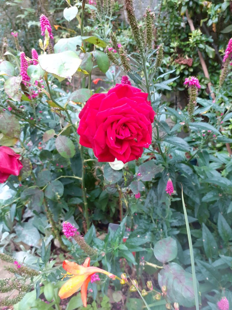 Making an Impact at Leeds Mind - Leeds Mind