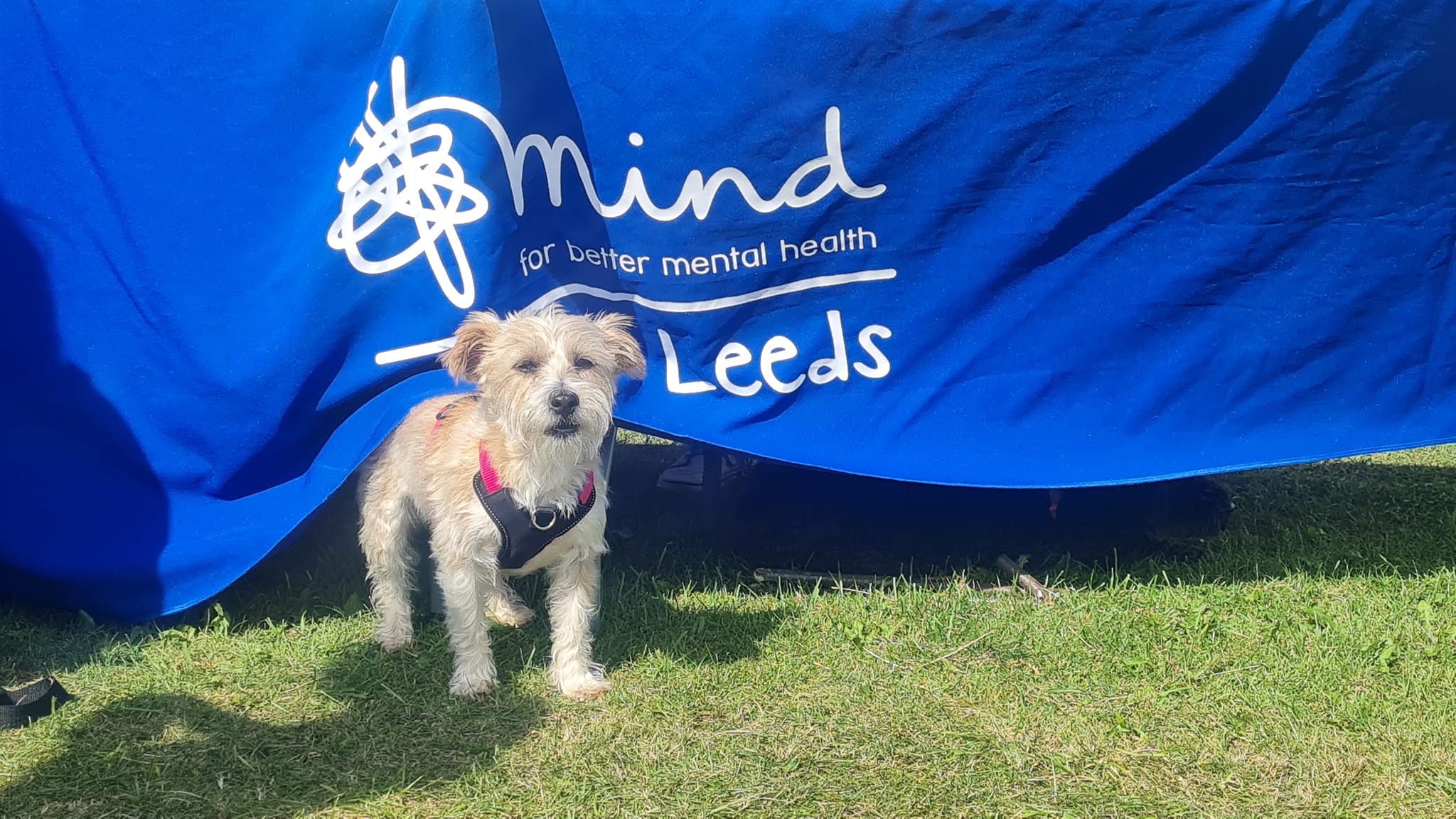Riverside Food Festival Wetherby 2023 - Leeds Mind